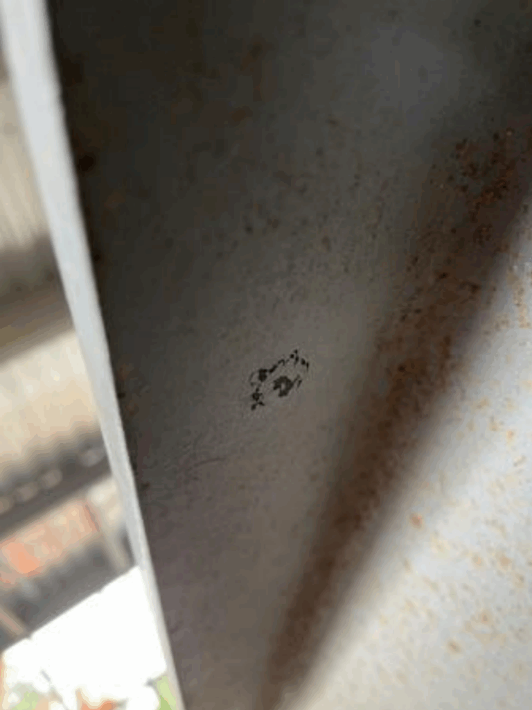 PAF, GAF or Pass? Part 1: A Guide to Selecting a Power-Actuated ...